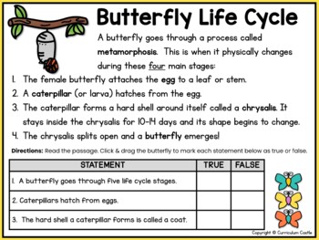 Butterflies Digital Activities for Google Slides™ - CURRICULUM CASTLE