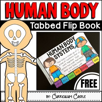 FREE Human Body Systems Tabbed Flip Book - CURRICULUM CASTLE