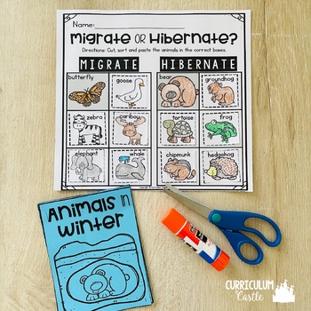 Hibernation: Animals in Winter - CURRICULUM CASTLE