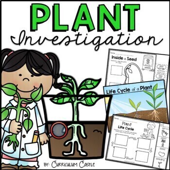 Plant Investigation Unit: All About Plants, Life Cycle and Needs ...
