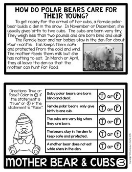 Polar Bears Flip Book {Reading Comprehension & Craft} - CURRICULUM CASTLE
