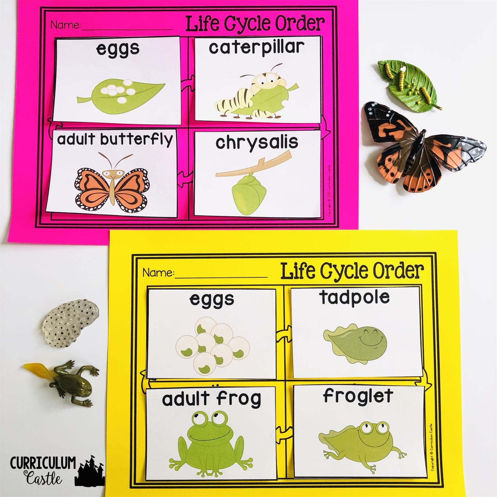 Google Earth邃 Field Trip Exploring Landforms Curriculum Castle