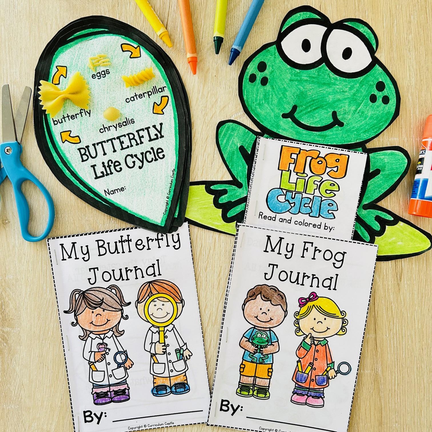 Butterfly and Frog Life Cycle Investigation BUNDLE - CURRICULUM CASTLE