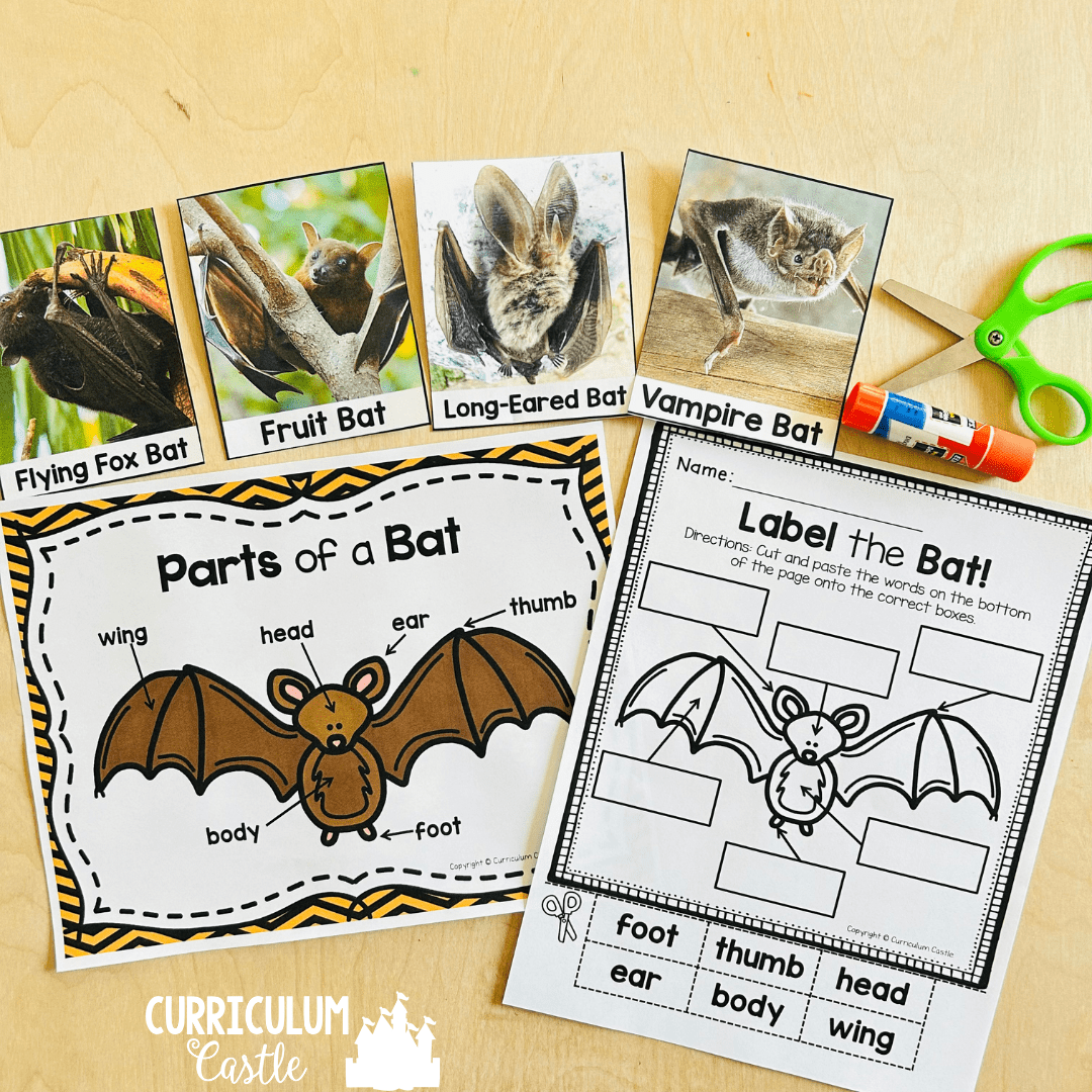 Halloween Thematic Unit - Pumpkins, Spiders and Bats! - CURRICULUM CASTLE